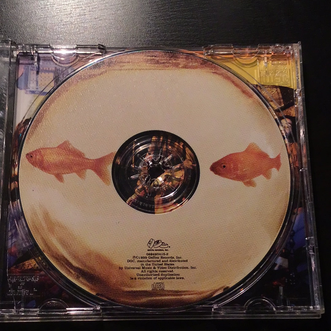 Counting Crows This Desert Life CD – Somos Gallery